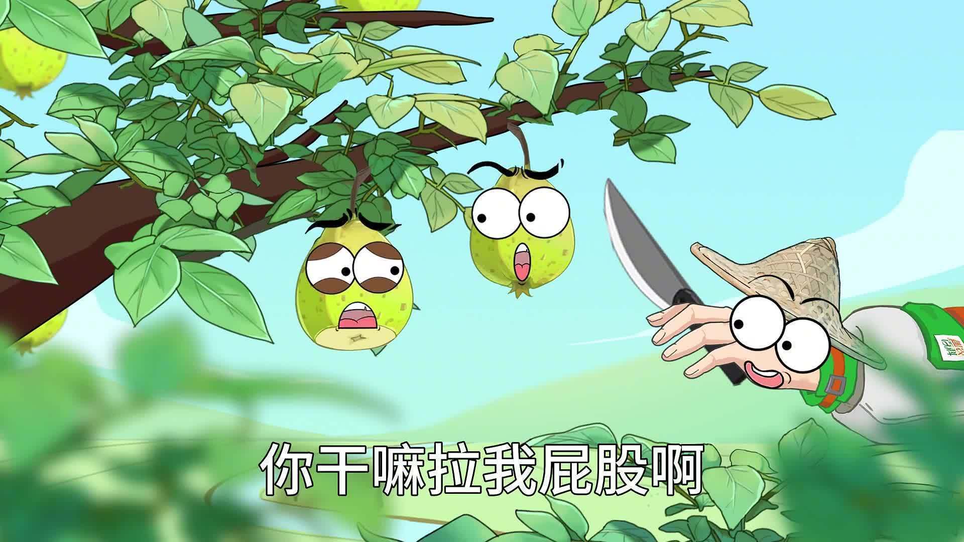 切屁股的莱阳梨 #有趣的知识又增长了 #轻漫计划 #三农种植 #科普...