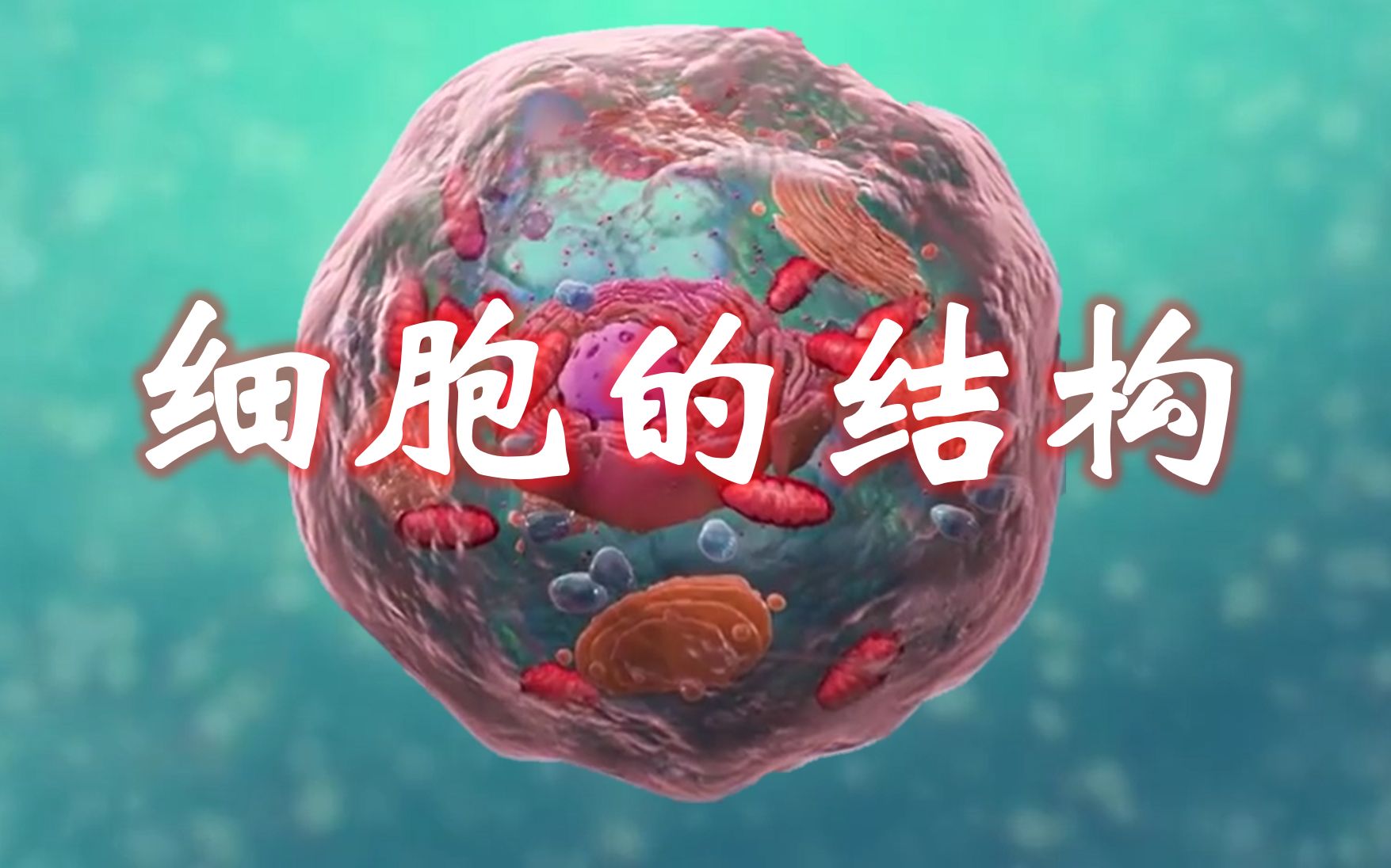 【分子与细胞】细胞的结构