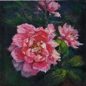 小小来画画 