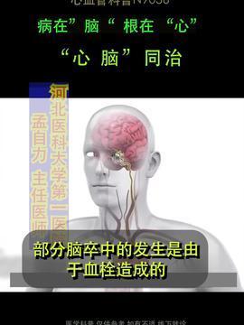 《病在"脑" 根在"心" 心脑同治》 3D 动画展示 脑血栓来源于身体的多个...