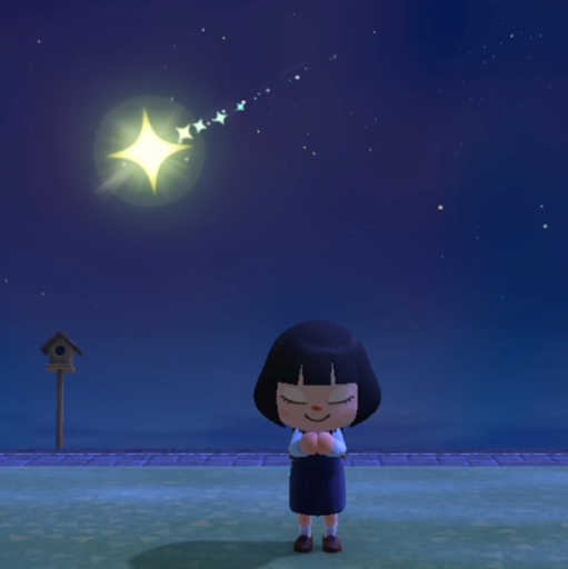 一颗弱弱的豆芽菜 