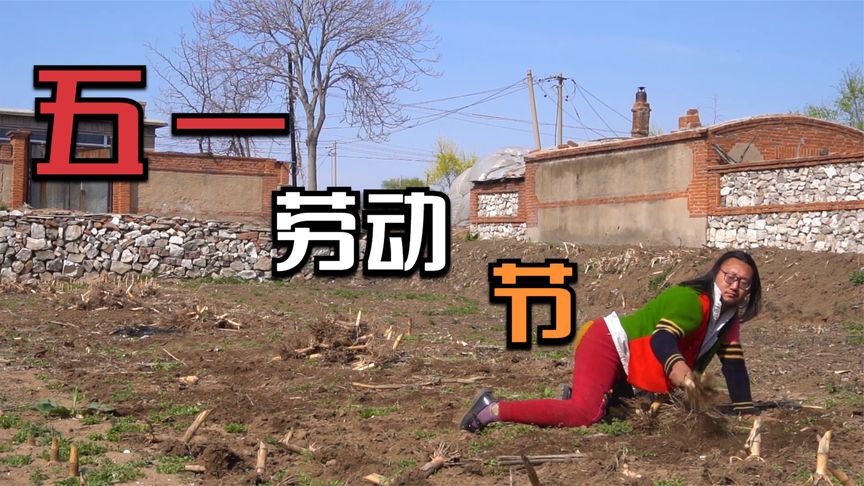 五一劳动节我自己劳动