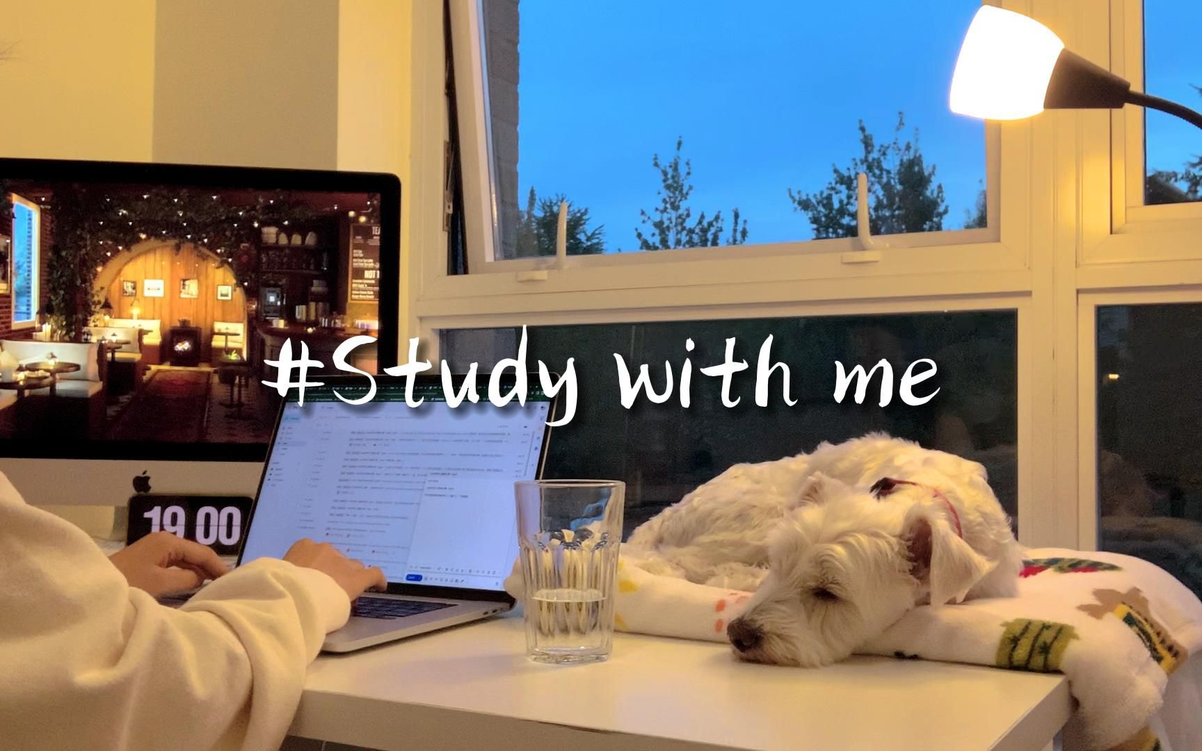 从傍晚学到深夜-背英语 | 实时学习2小时 | 计时器倒计时间 | Deep focus...