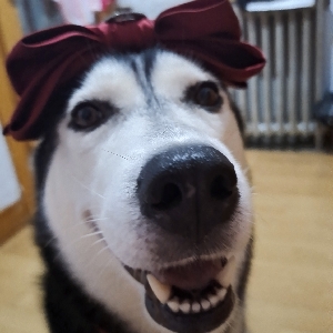 想学点啥问点啥 