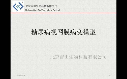 糖尿病模型