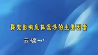 12《探究鱼体沉浮的主要因素》云浮市硫铁矿一中级广东省新课程初中...