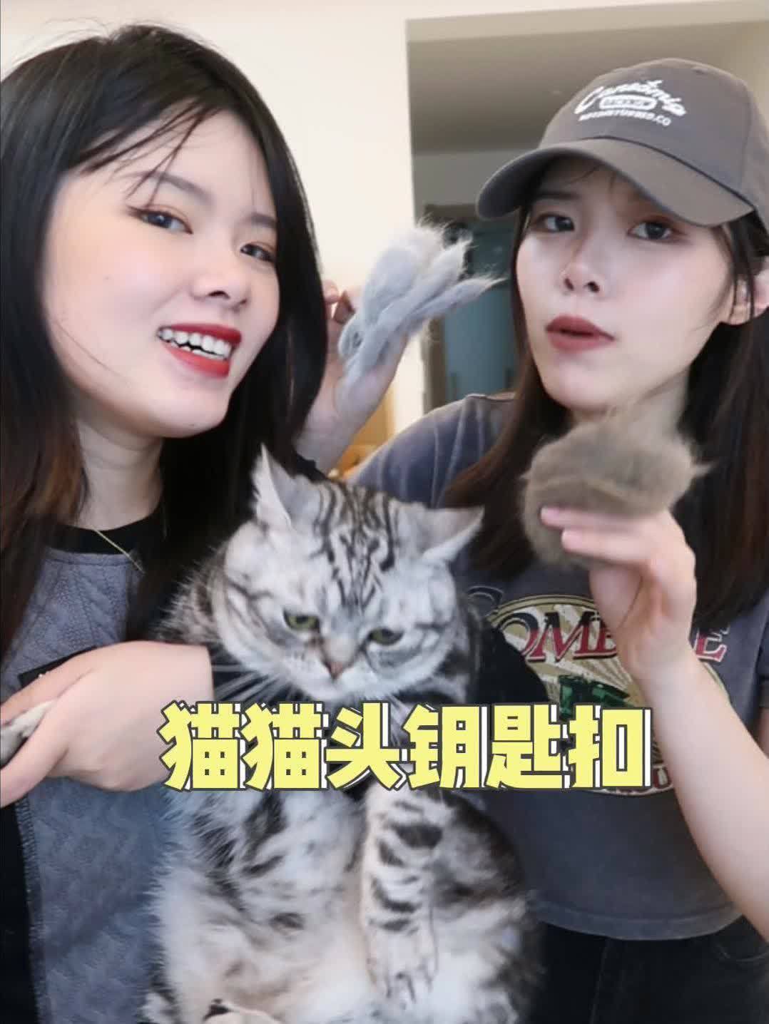 取之于猫,做成小猫系列～梳下来的猫毛竟然还有这种用