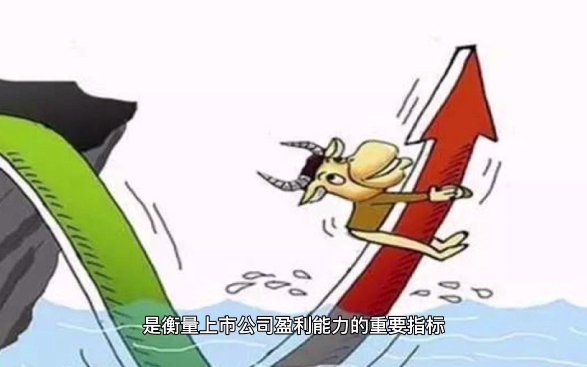 一分钟经济学——净资产收益率