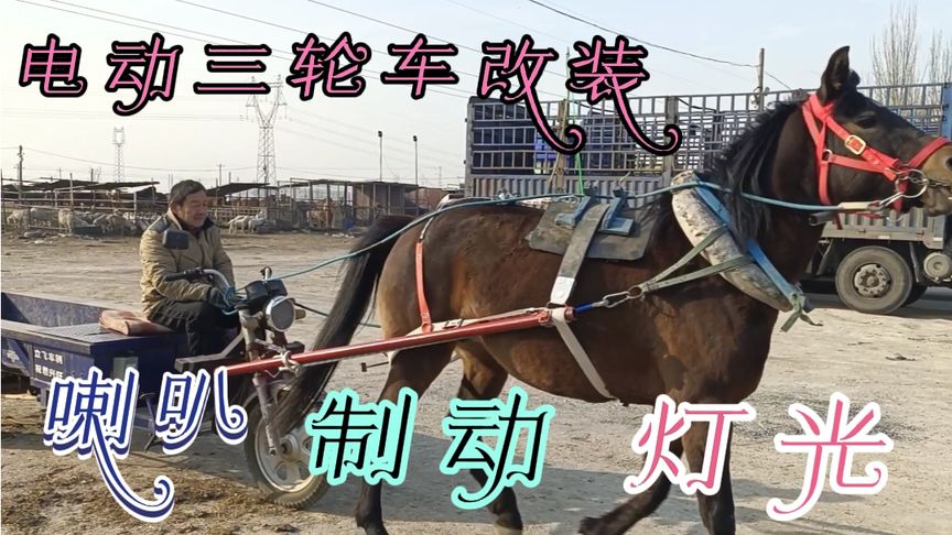 电动三轮车改一下变成了马拉电动三轮车转向灯光喇叭制动一应俱全