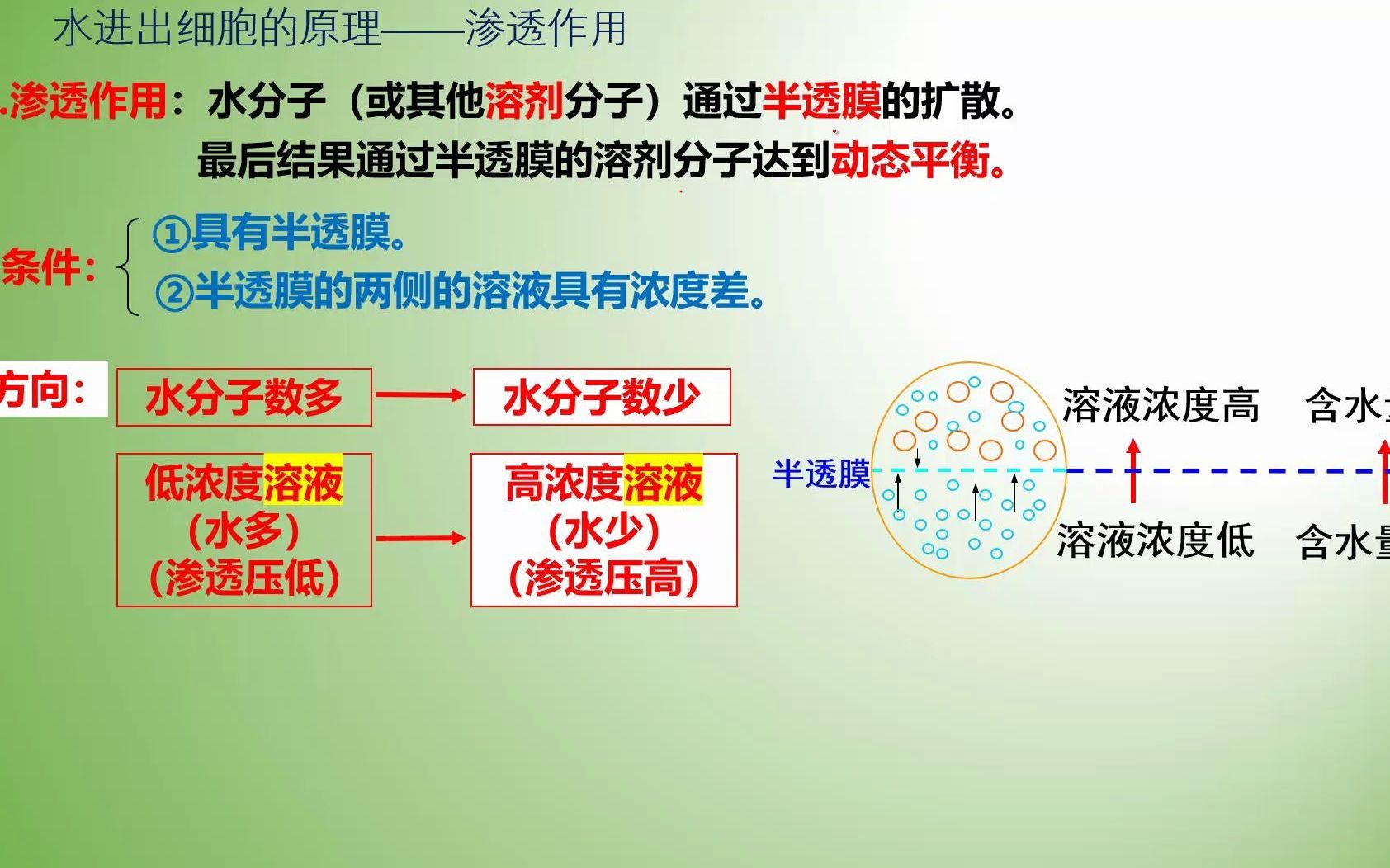 被动运输--渗透作用:水分进出细胞原理