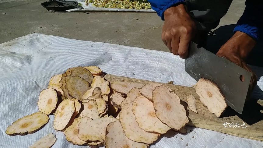 新鲜野生何首乌,切片晒干保存,是一味上等的养生好药材