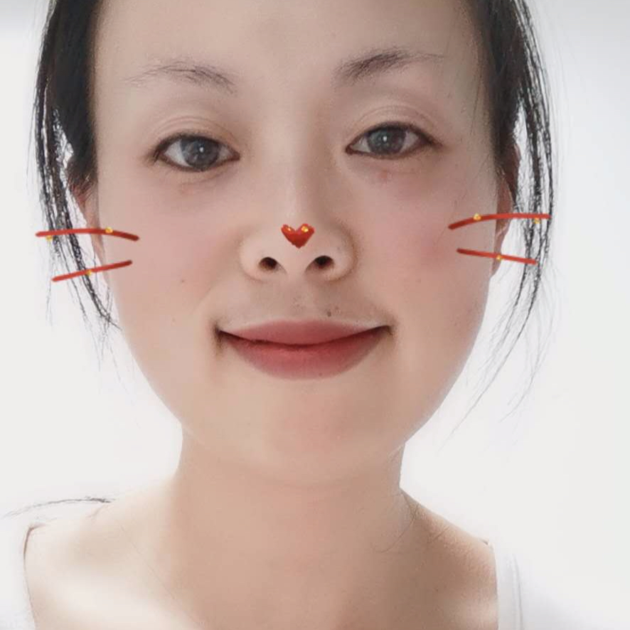 励志猫头鹰 