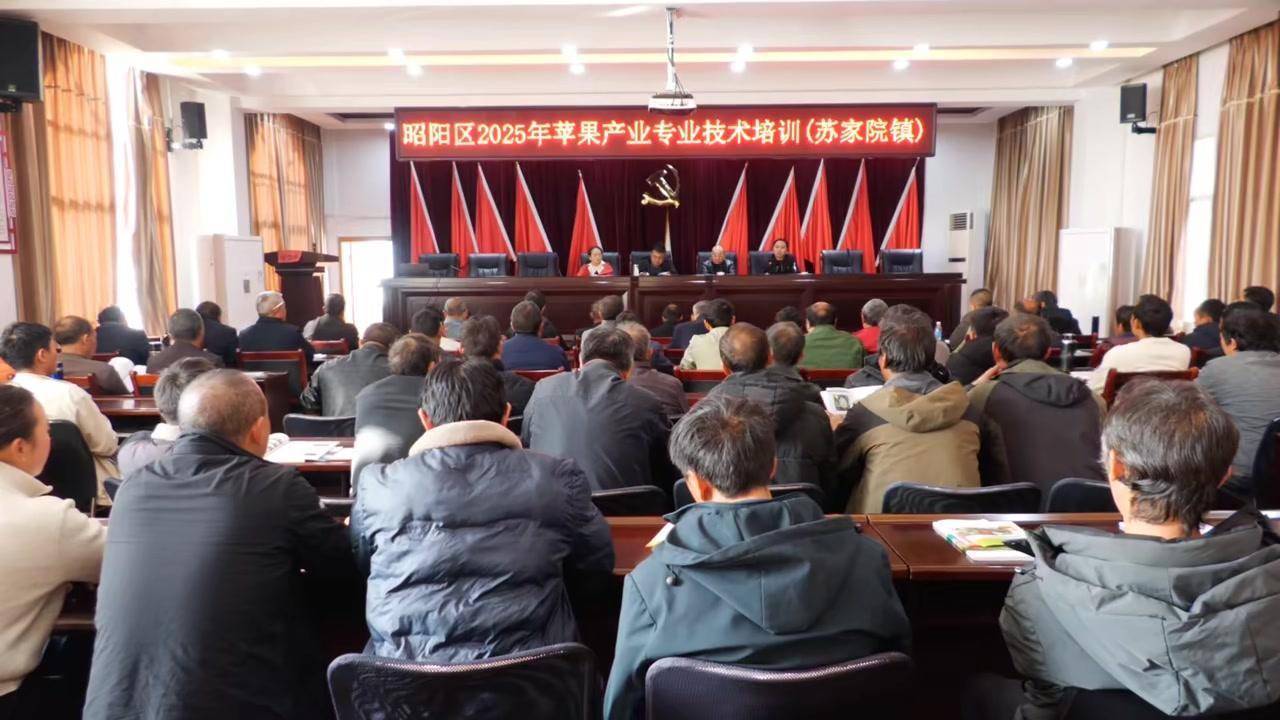 #深入推进"六大强市"建设【昭阳区开展苹果产业技术培训为特色农业...