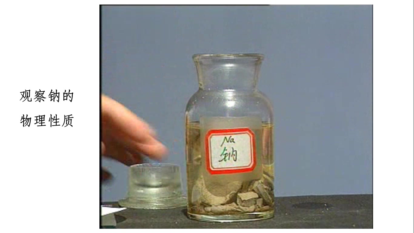金属钠的性质
