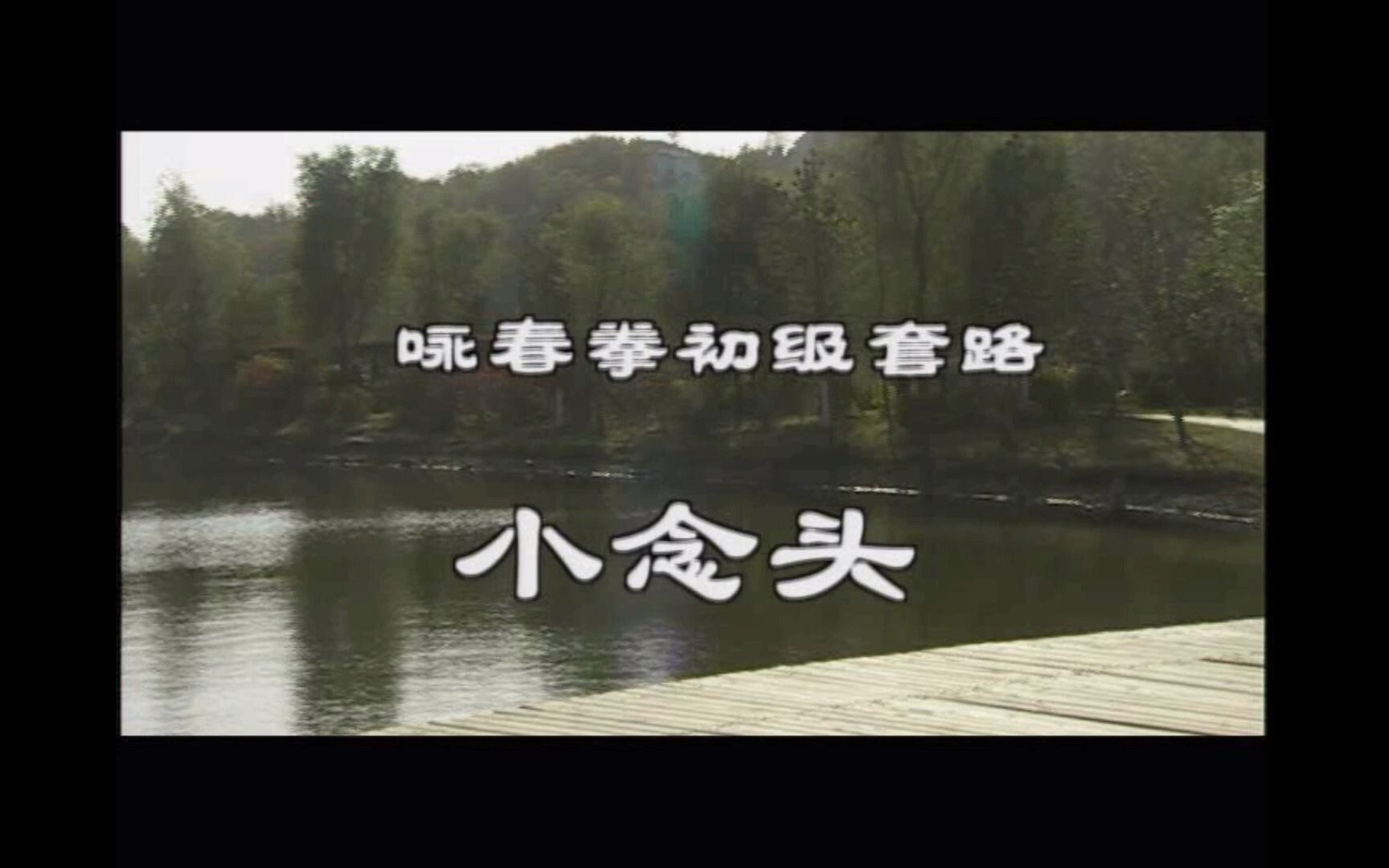 叶问徒孙~李小龙授业师兄黄淳梁的徒弟~中国咏春拳学总会创办人——...