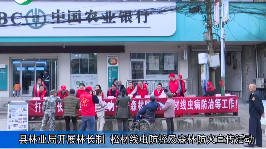 武宁县林业局开展林长制 松材线虫病防控及森林防火宣传活动