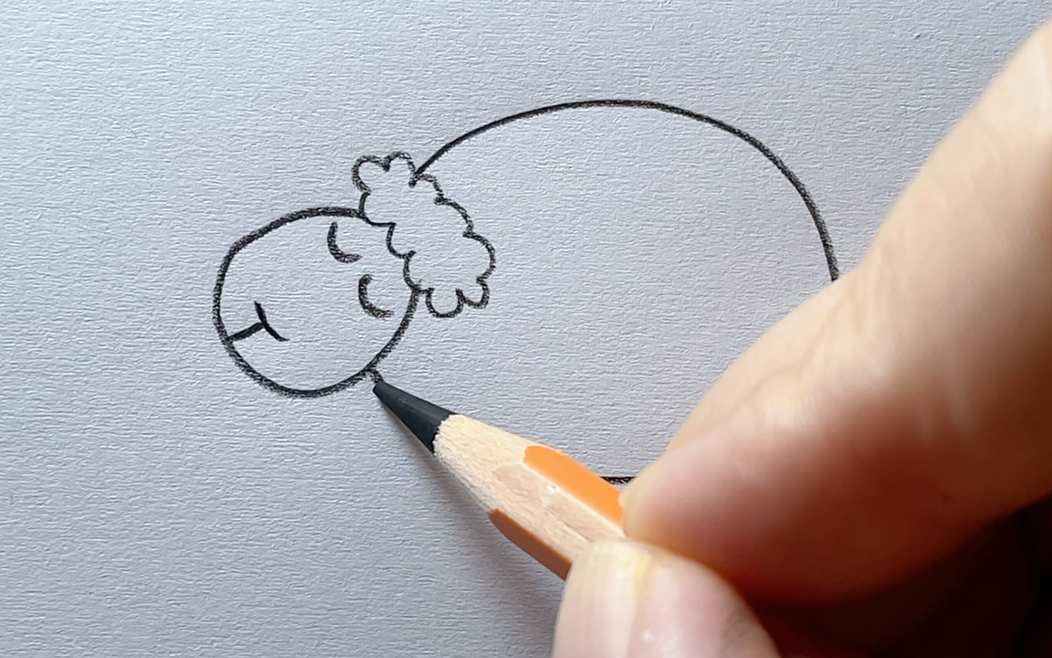 简单小绵羊的简笔画