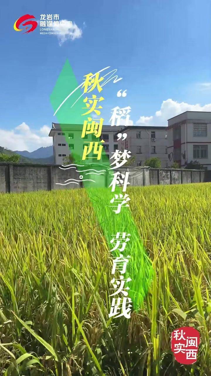 #龙岩市融媒体中心"秋实闽西"摄影和短视频大赛金秋九月,校外金浪...