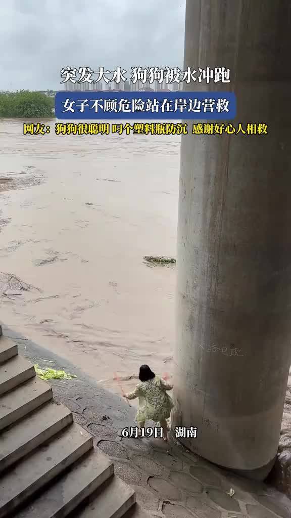 突发大水狗狗被水冲跑,女子不顾危险站在岸边营救