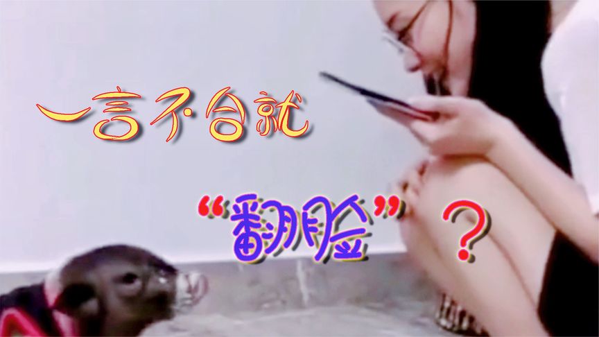 一言不合就翻脸,看小动物生气有多可怕?!