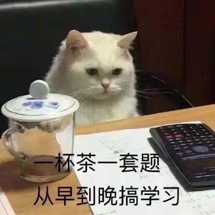 考研毅静 