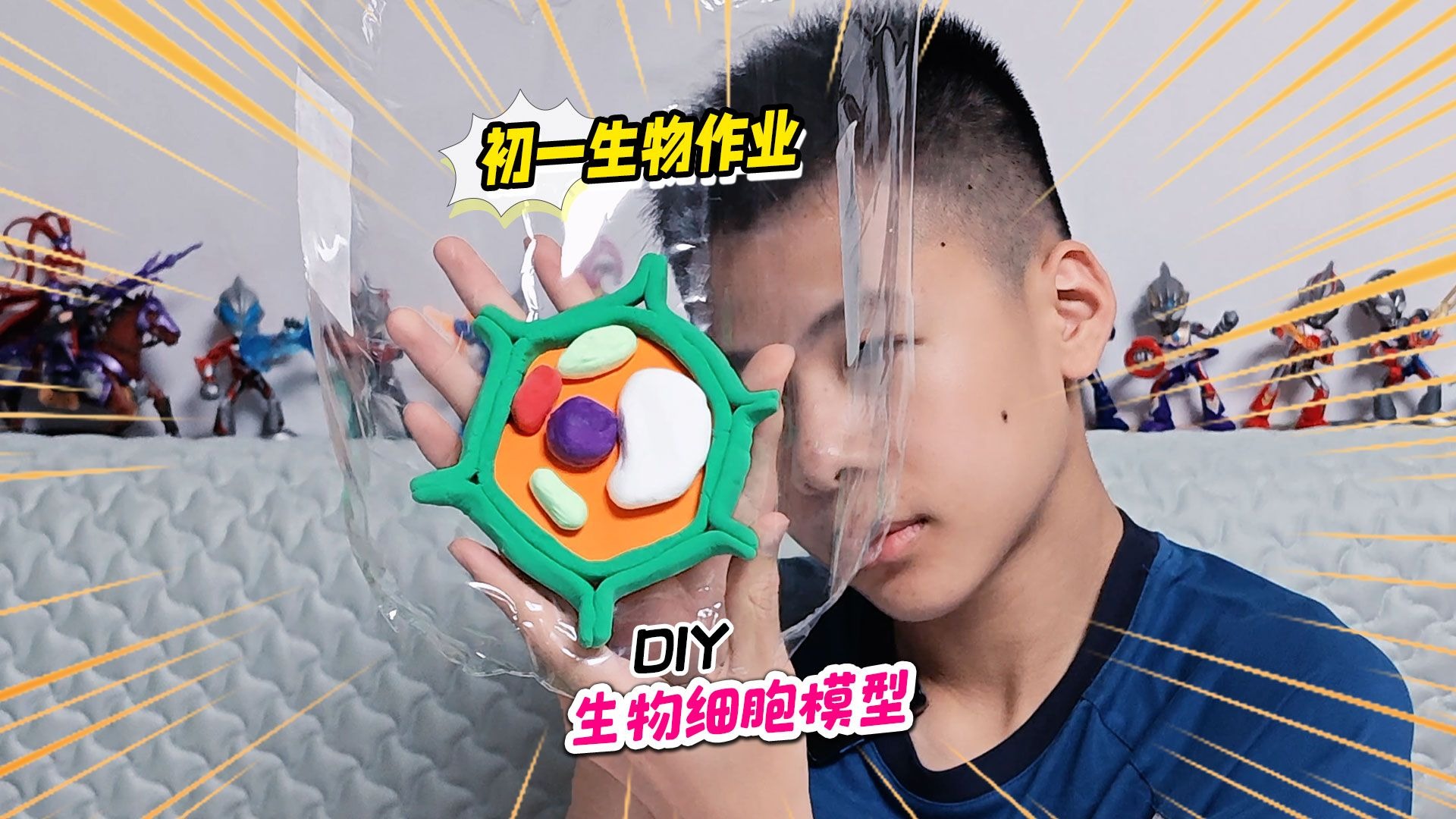 初一都得做的手工作业?七年级生物细胞模型DIY粘土版制作过程