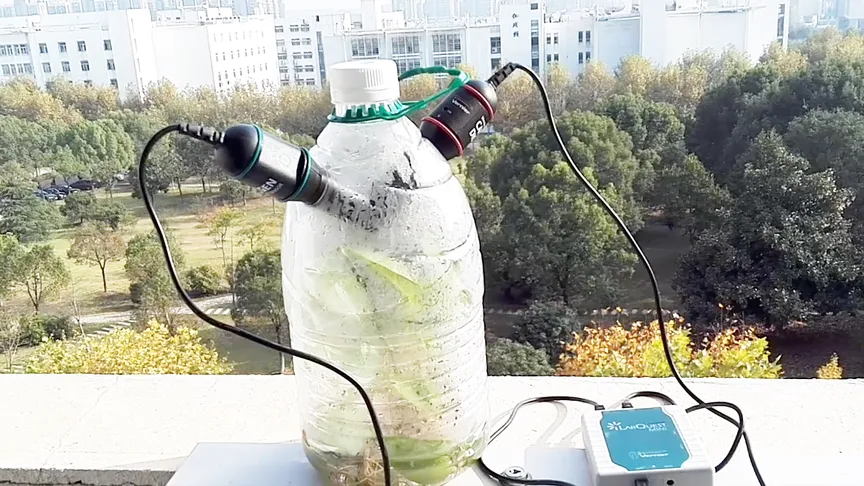 光合作用的数字化实验