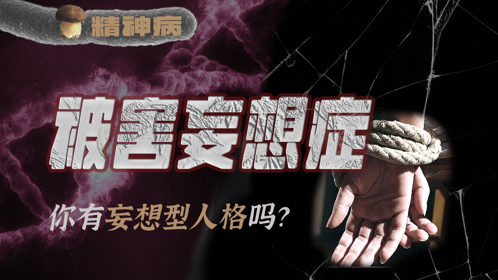 【精神病3】“总 有 刁 民 想 害 朕”