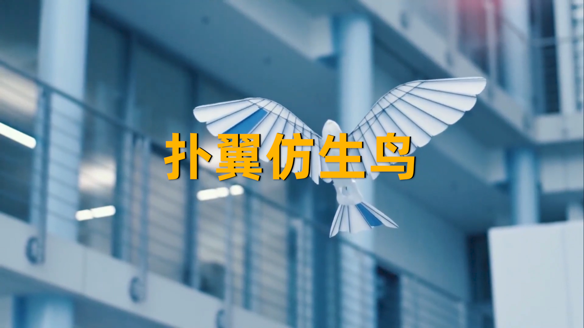 扑翼仿生鸟,像鸟类一样自由飞行