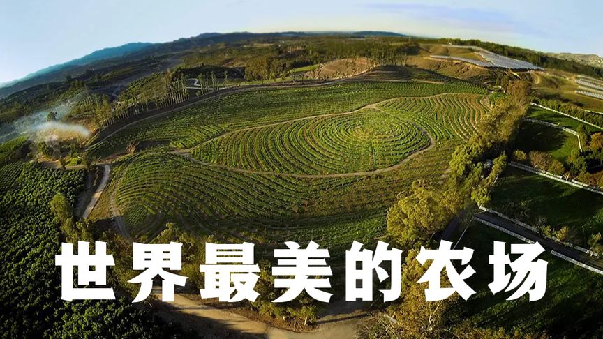 不用任何农药,让超1000种动植物生态平衡,美国人做到了!纪录片