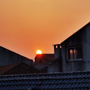 aaaaa爱买书的早起族 