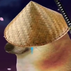 生瓜掸孑 