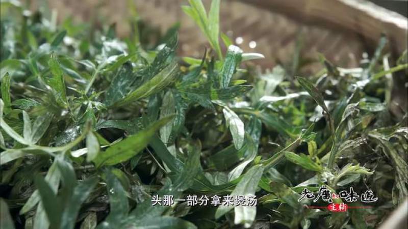 客家人的智慧,简简单单的艾叶,都有不同的食用方式丨老广的味道