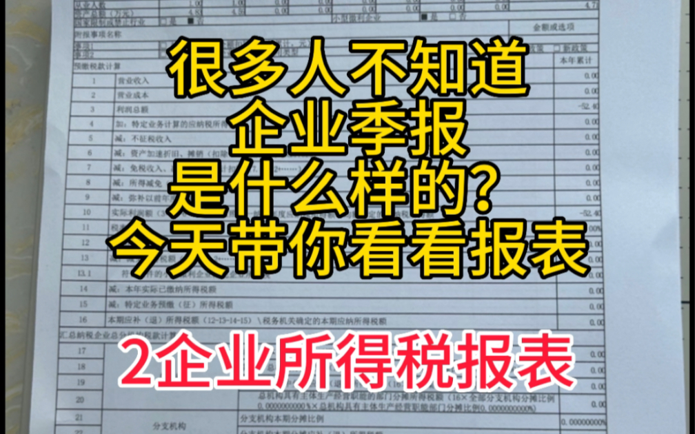 企业季度报表长什么样?今天带你看看!