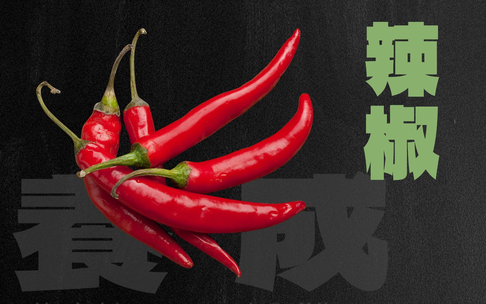《辣椒》种子到果实延时拍摄|生长过程