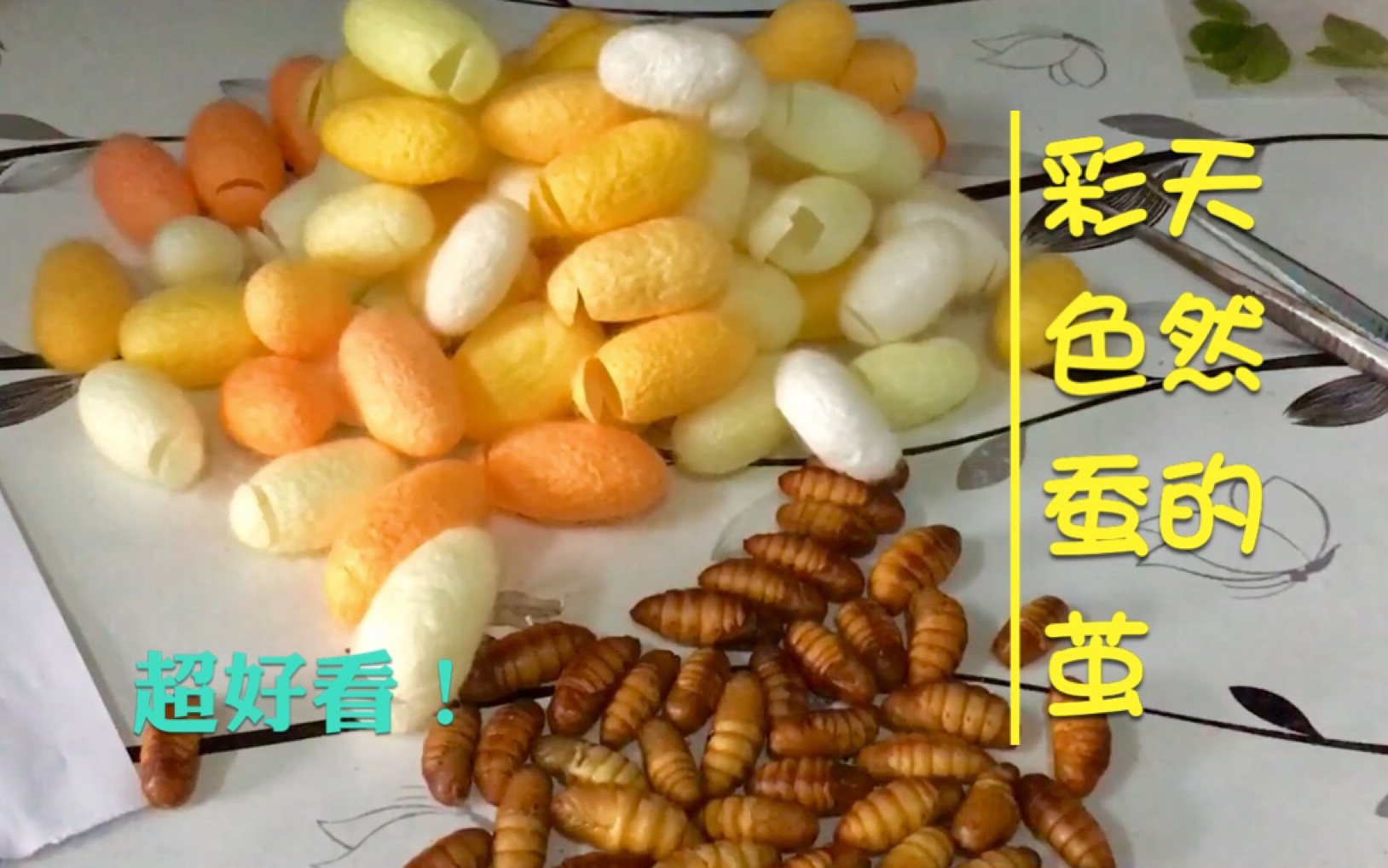 给蚕茧做个刨腹产!取出这么多蛹怎么吃才好吃呢?