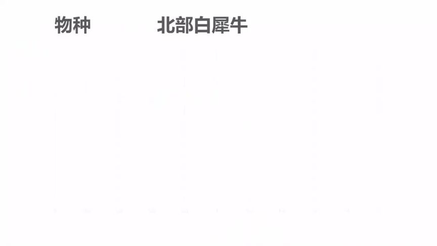 世界十大珍稀物种排行:中国有一动物上榜,希望它们不要成为历史