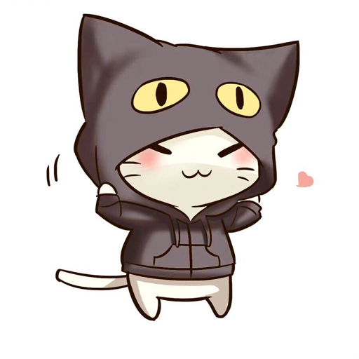 喜欢猫猫的小曾 