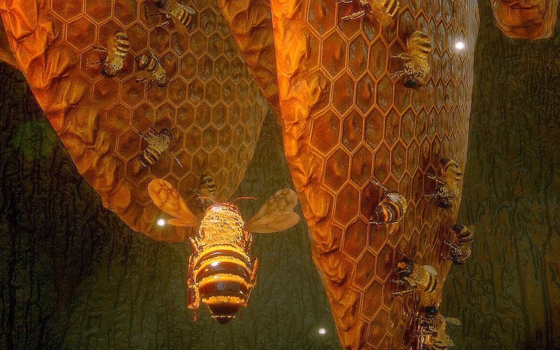 当只蜜蜂是何感受?《蜜蜂模拟器》登陆Steam 跳舞采蜜还能蜇人