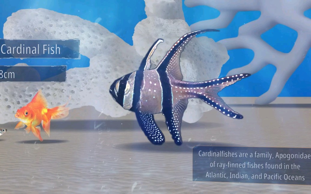 海洋生物体型大小比较排行