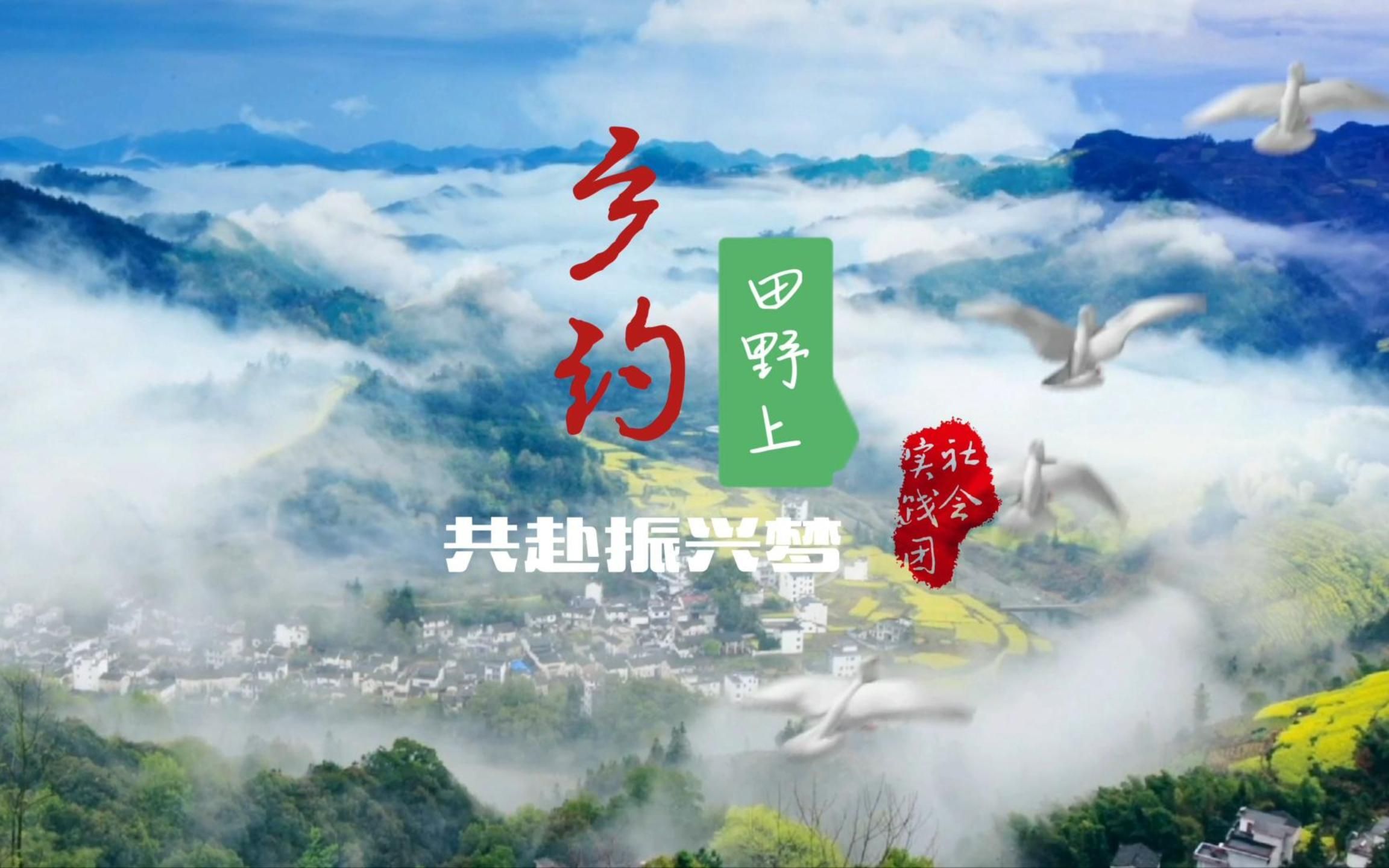 乡村振兴/产业扶贫/脱贫攻坚 宣传片《“乡”约田野上,共赴振兴梦》