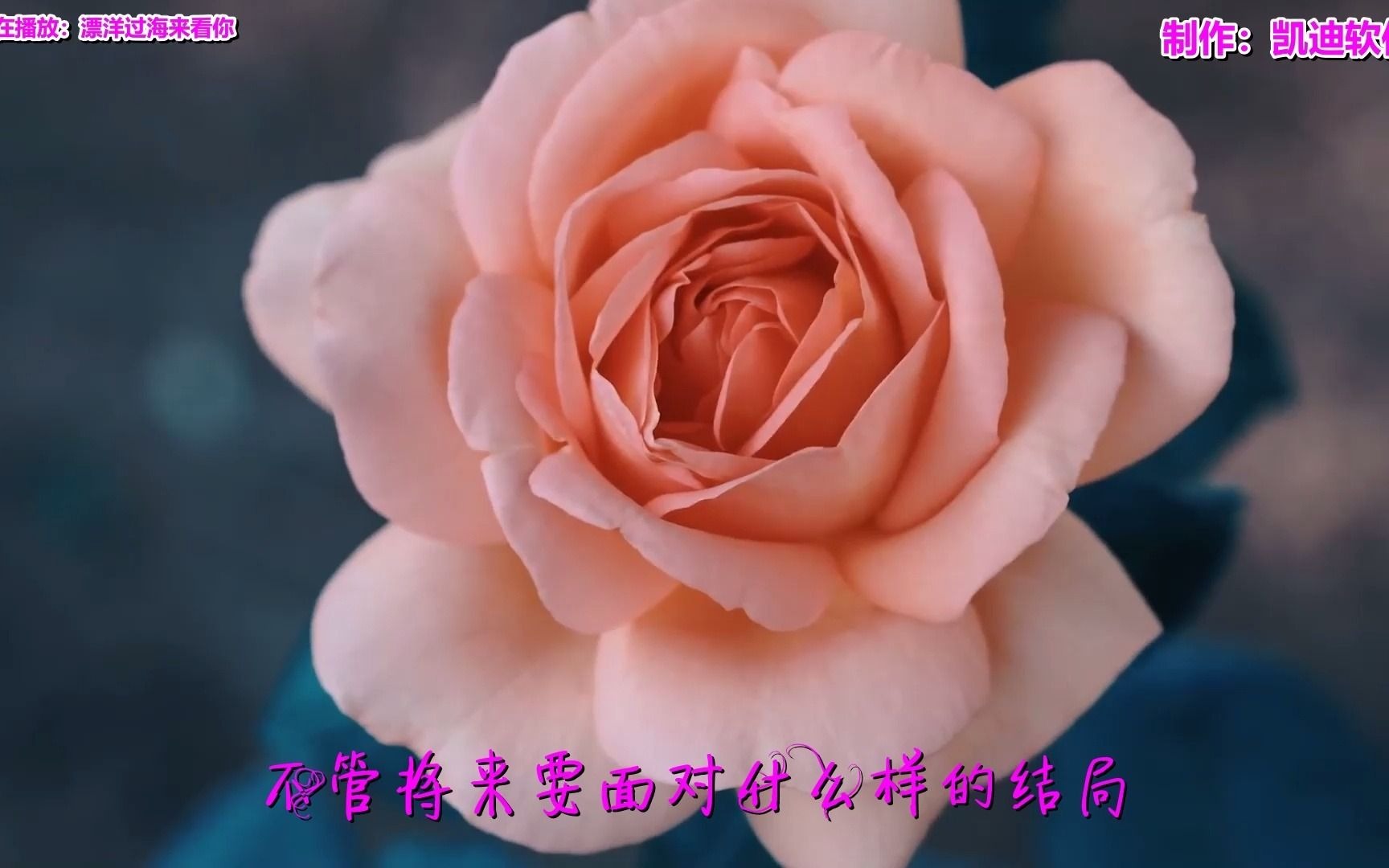 《漂洋过海来看你》欣赏,mv转换mp4格式软件下载