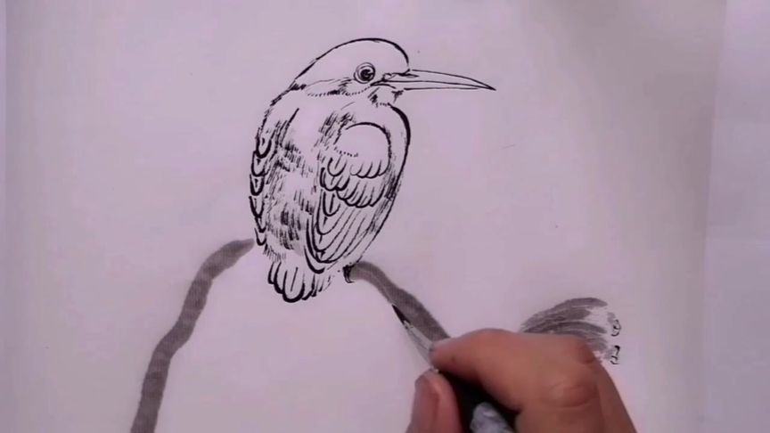 绘画:鸟儿的画法,简单易学步骤清晰!一起绘画,享受快乐!