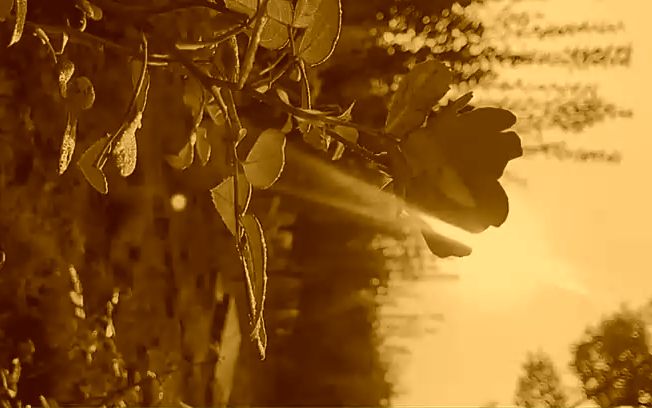 刘小雅 江晓晓 夜空中最亮的星 伴奏 元宵晚会