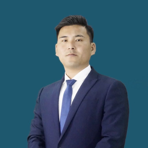 分析债务 