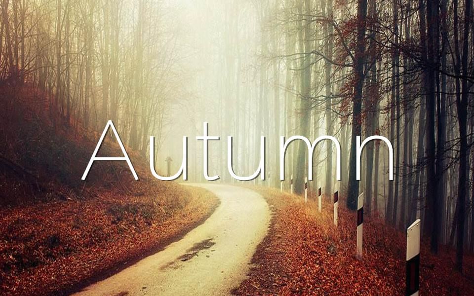 [计算器]Autumn (秋)—LJY