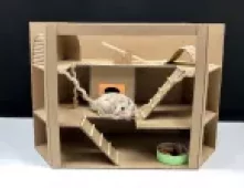 小伙子用硬纸板为仓鼠搭建创意宠物屋, 看这小家伙, 很开心的样子