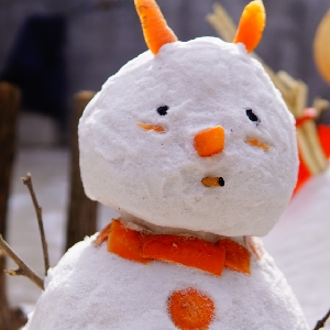 邵旭斌的景观自习室 