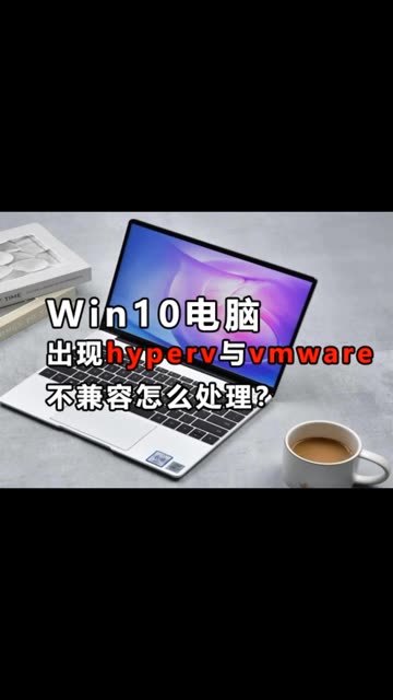 Win10电脑出现hyperv与vmware