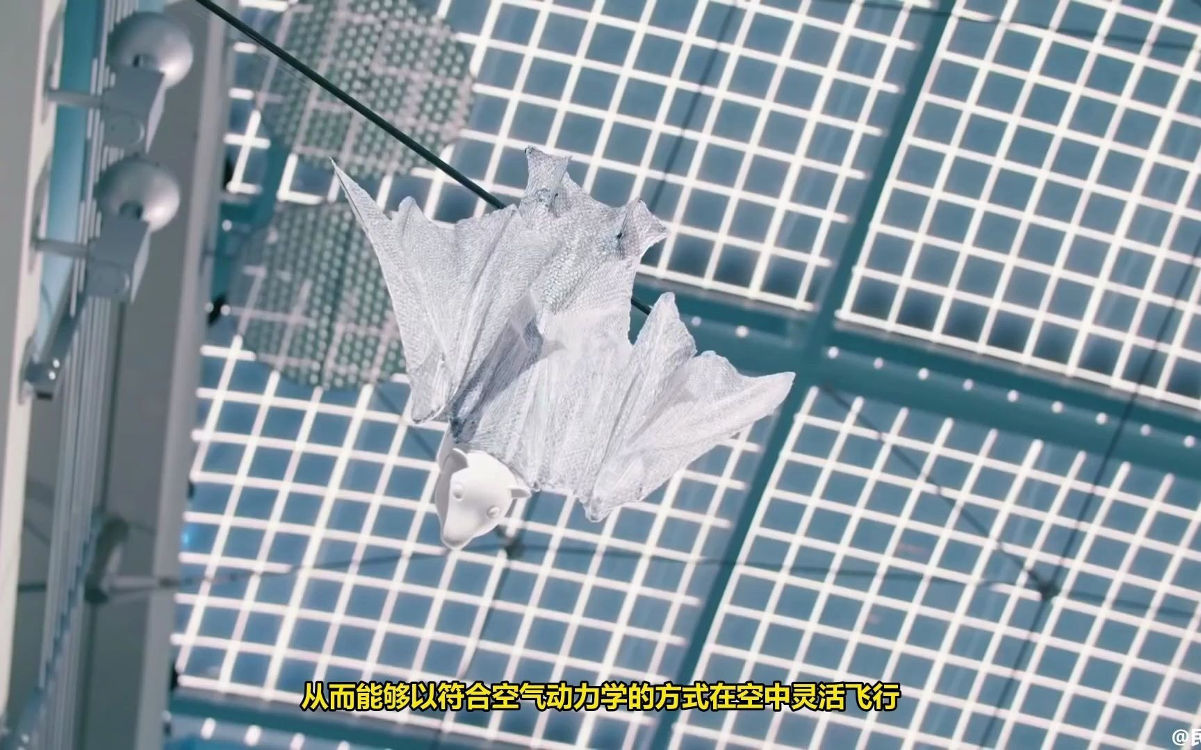 仿生蝙蝠可以有多逼真?特定空间内可进行半自主飞行